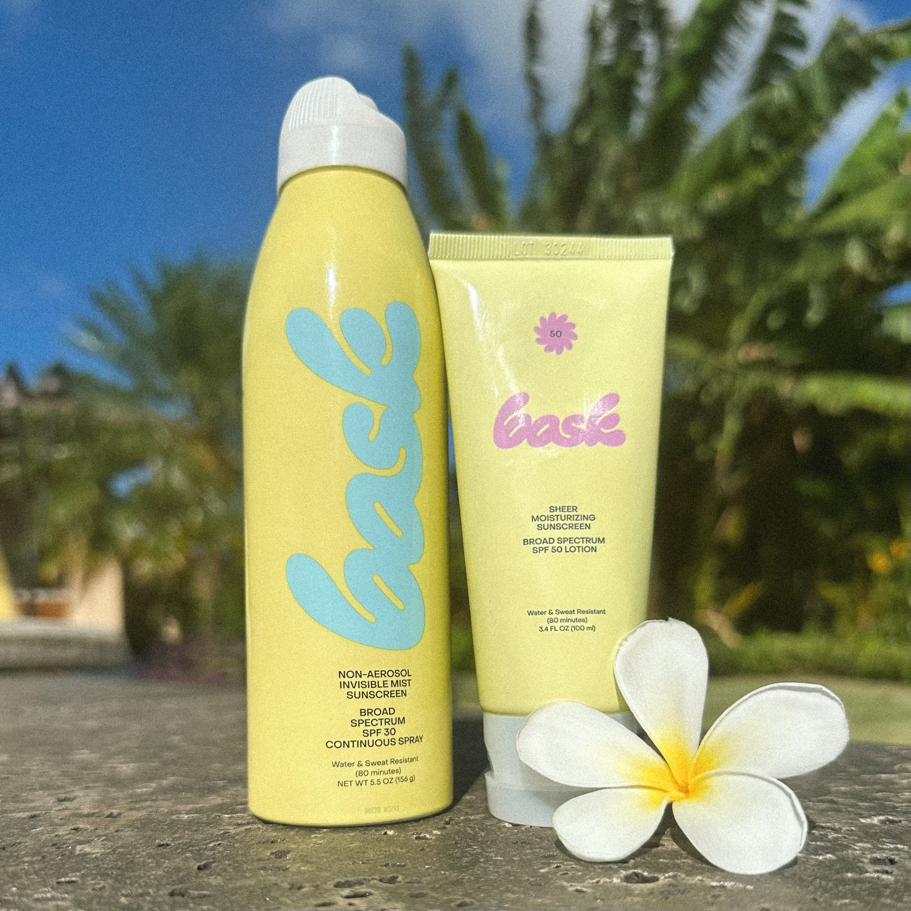 The Ultimate Guide to Vacation Sunscreen: What You Need to Know – Bask ...